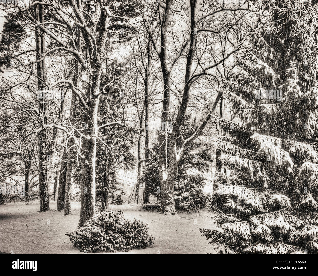 DE - BAVARIA: Winter scene along river Isar Stock Photo - Alamy
