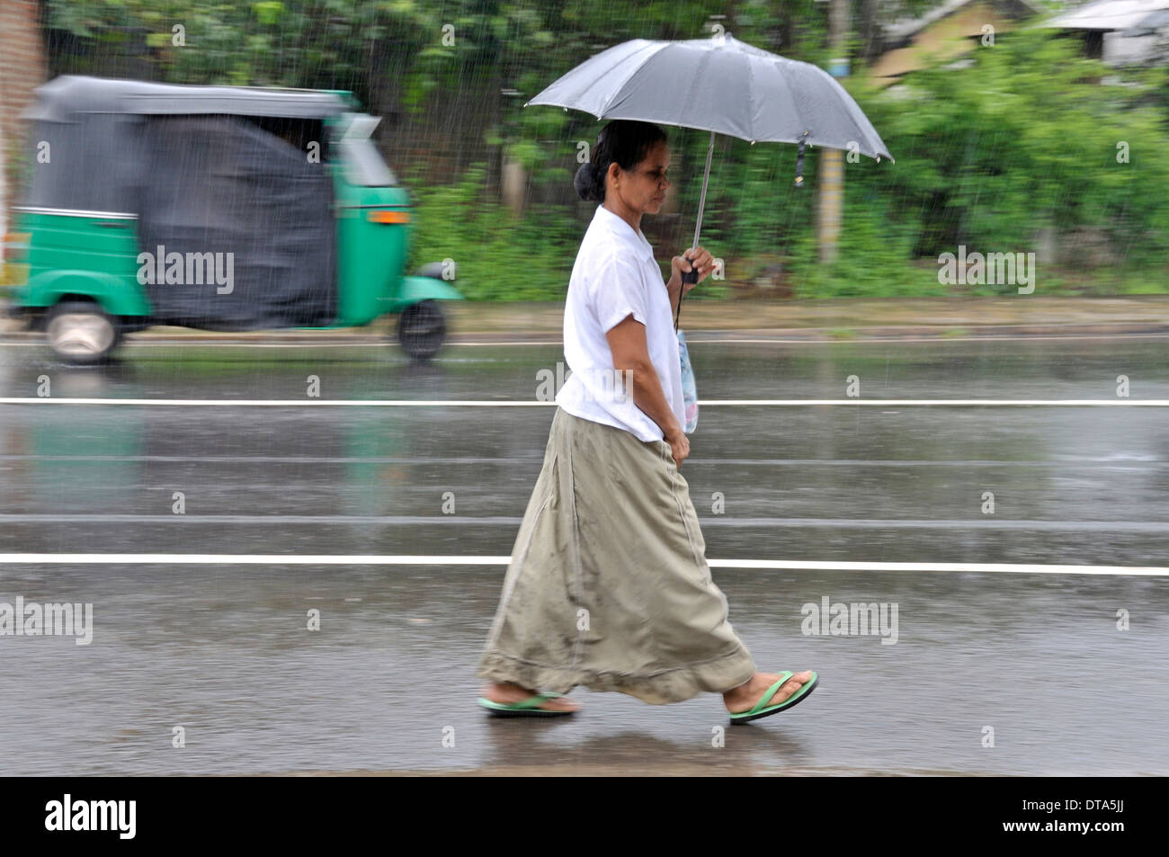 Singhalese woman walking with an umbrella in heavy rain, Sri Lanka ...