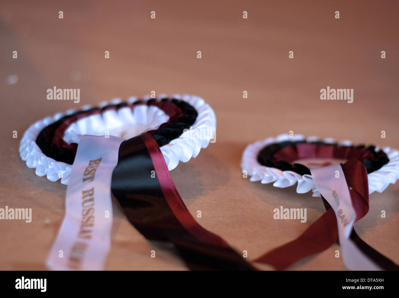 Rosettes for Chicken prize winners Stock Photo - Alamy