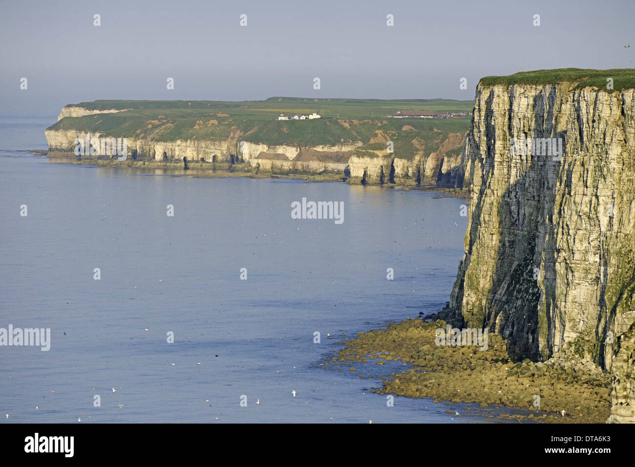 View of Bempton Cliffs Stock Photo - Alamy