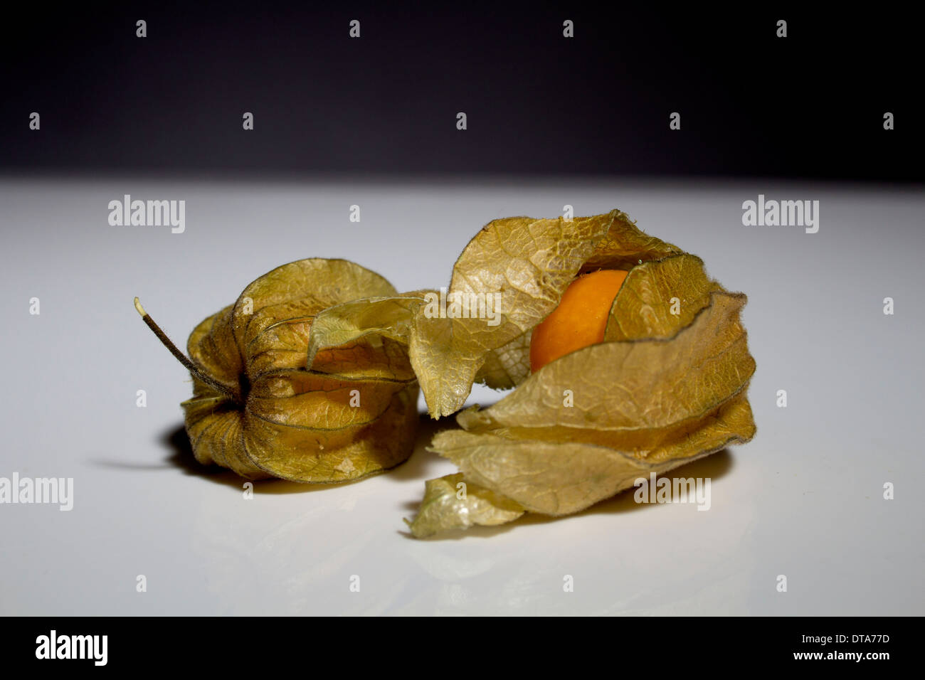 Physalis fruit hi-res stock photography and images - Alamy