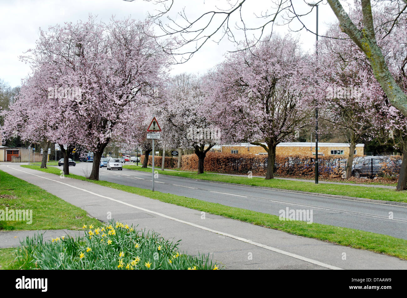 Ifield crawley hi-res stock photography and images - Alamy