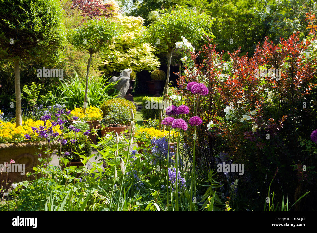 UK gardens. Dense planting in a summer cottage garden Stock Photo - Alamy