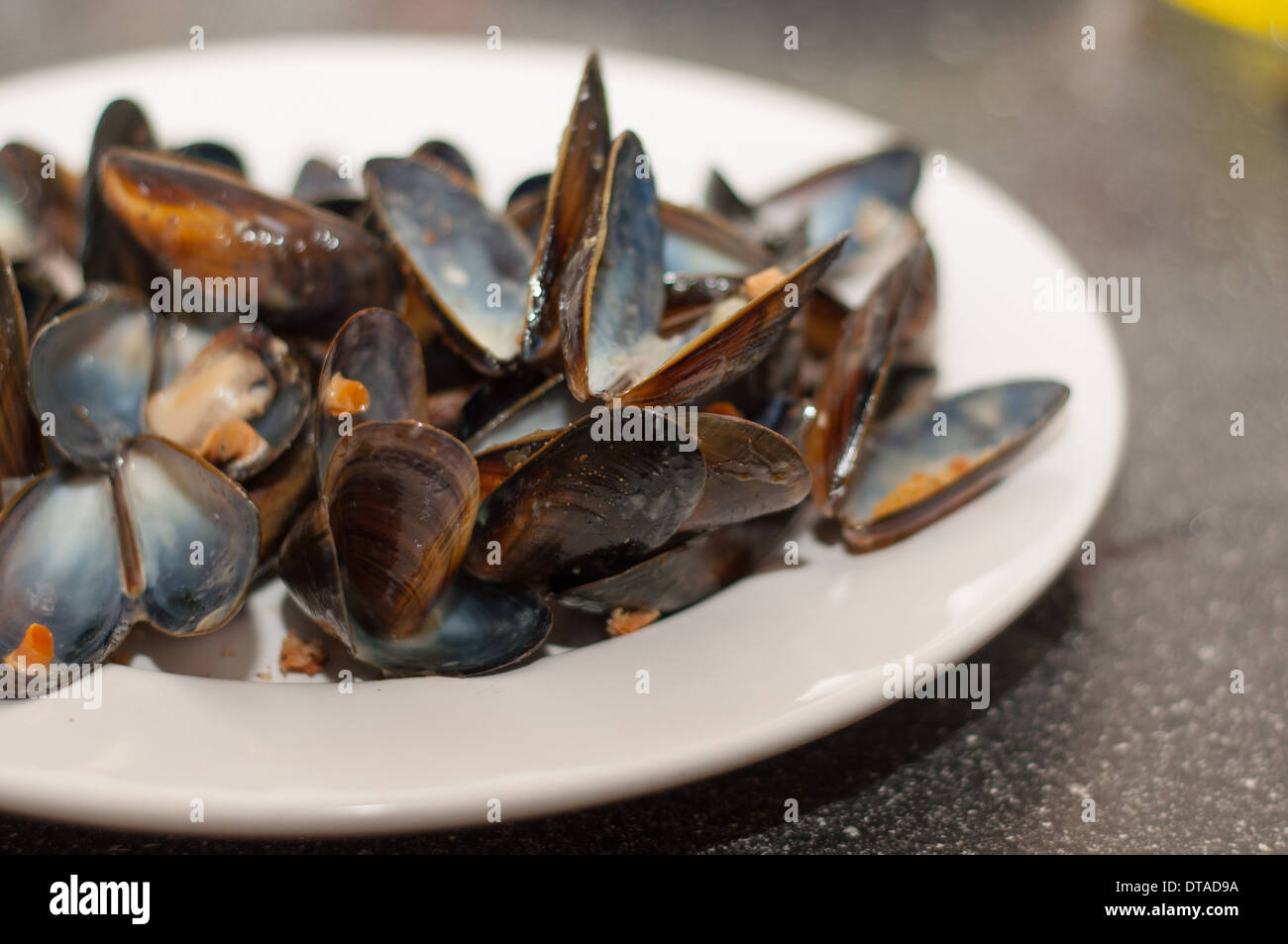 Mussel shells hi-res stock photography and images - Alamy
