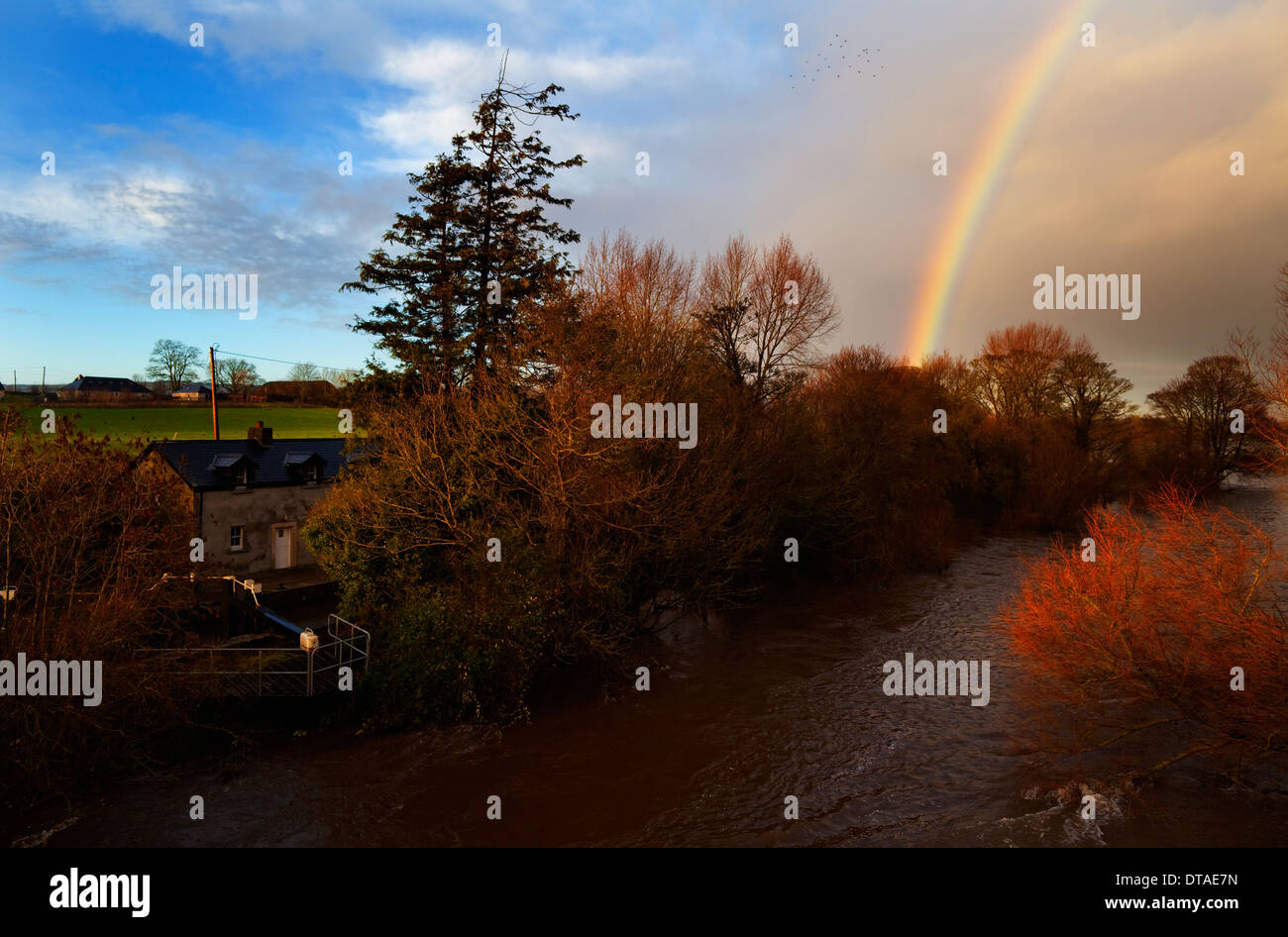 Barrow river carlow hi-res stock photography and images - Alamy