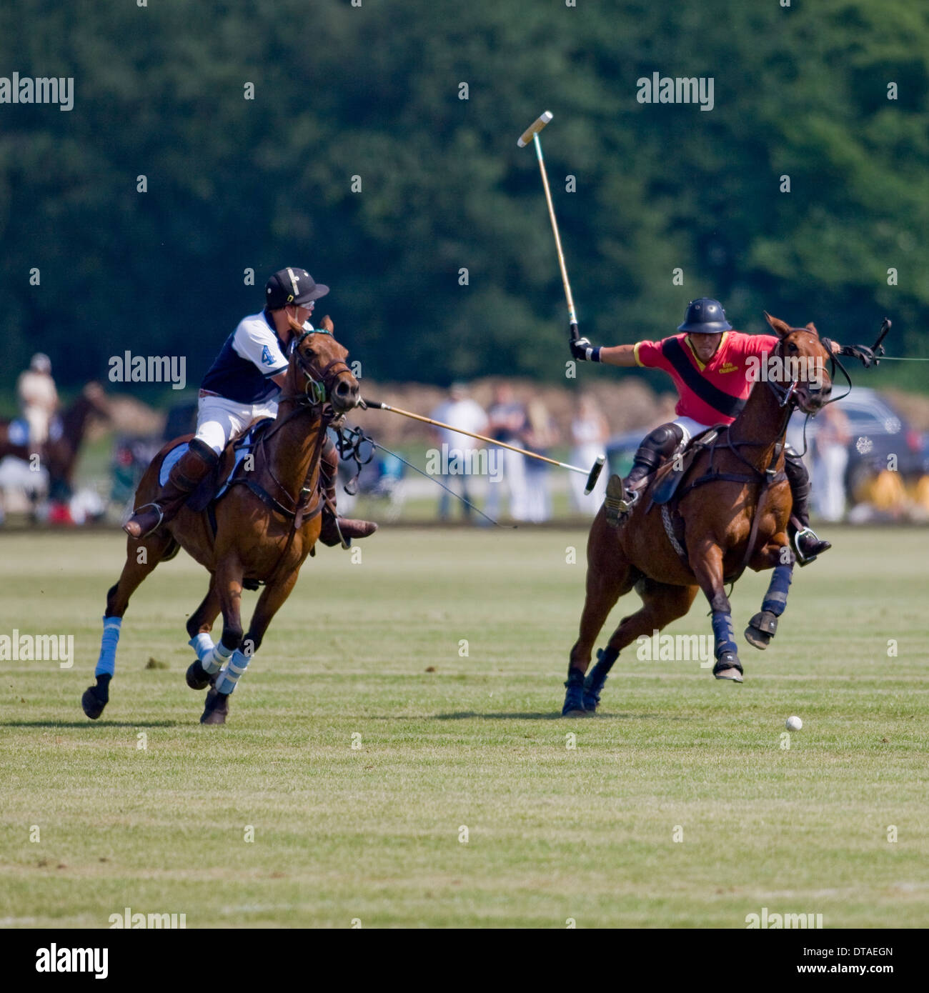Polo pitch uk hi-res stock photography and images - Alamy