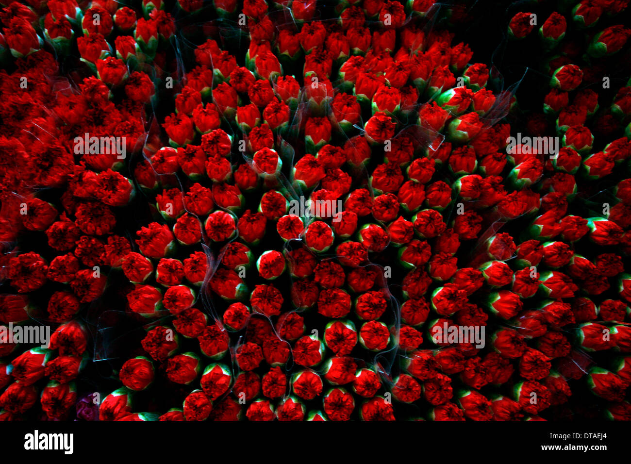 A christian palestinian refugee hi-res stock photography and images - Alamy