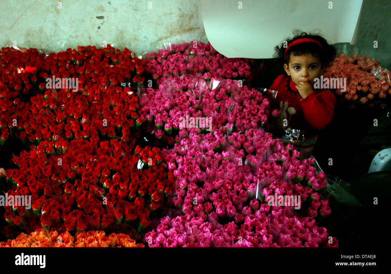Gaza, Palestinian Territories. 13th Feb, 2014. A Palestinian girl ...