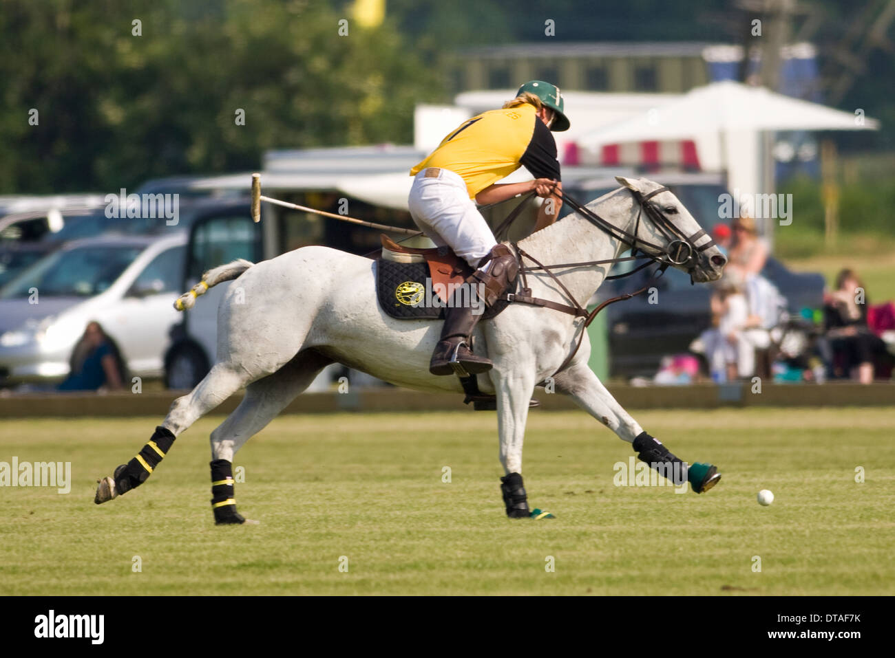 An image of a game of polo in summer, England, UK Stock Photo - Alamy