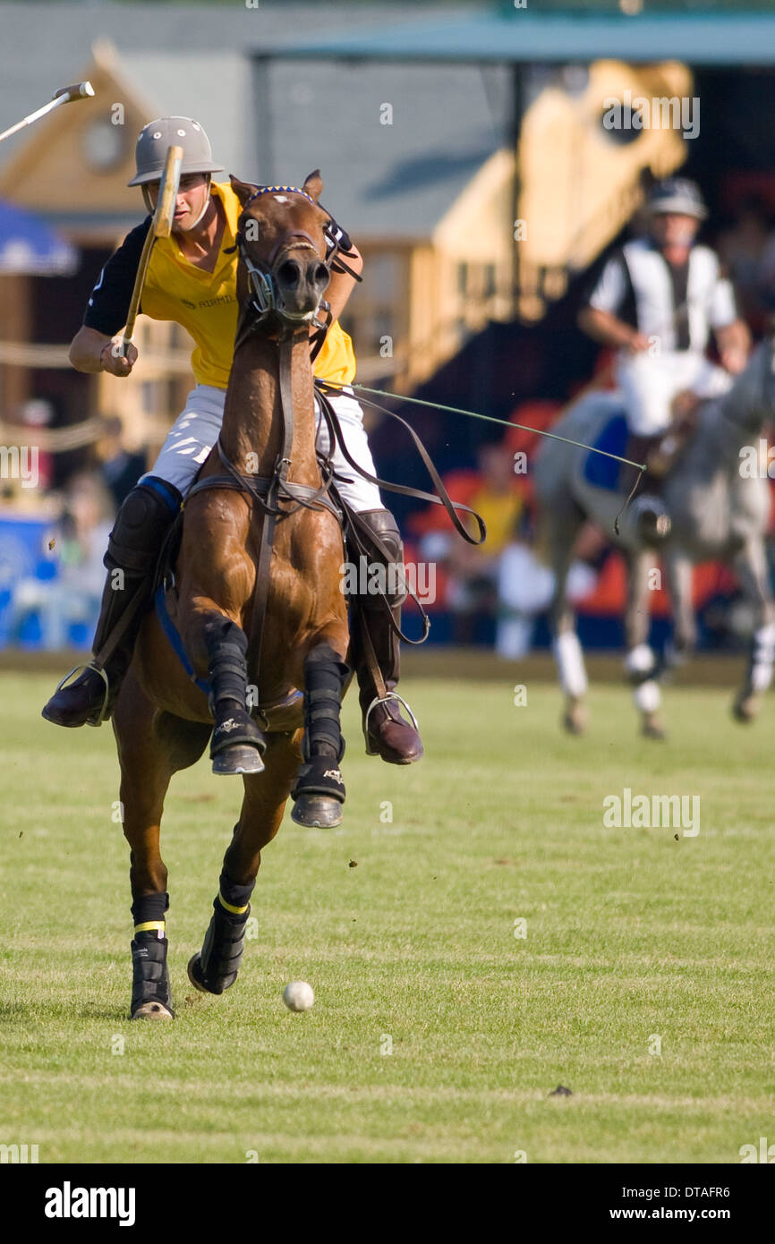 Polo pitch uk hi-res stock photography and images - Alamy