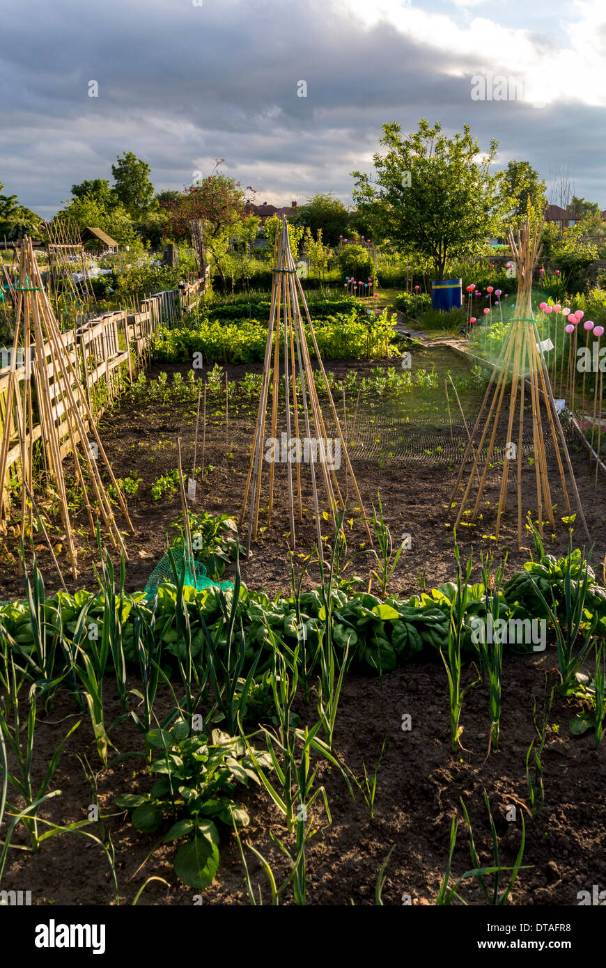 Pallet supports hi-res stock photography and images - Alamy