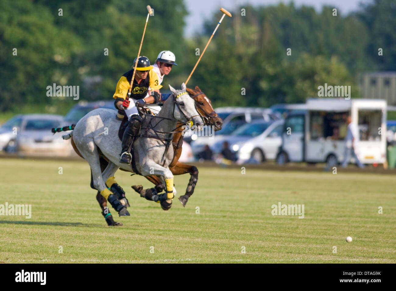 Polo Pitch Uk High Resolution Stock Photography and Images - Alamy
