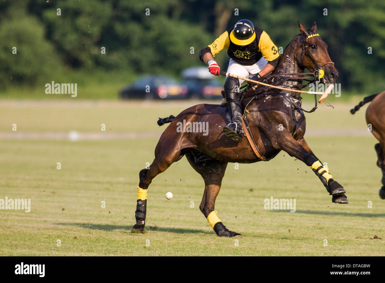 An image of a game of polo in summer, England, UK Stock Photo - Alamy