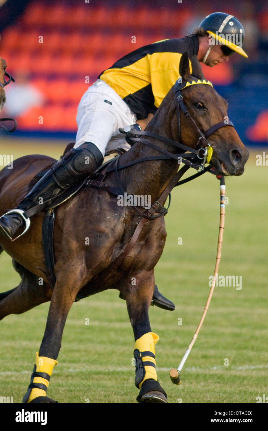 Polo pitch uk hi-res stock photography and images - Alamy