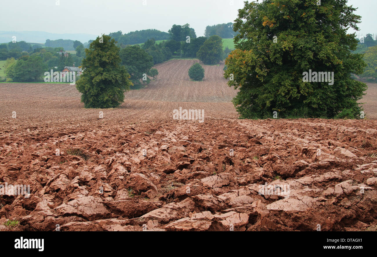 Newly ploughed field in Herefordshire with clods of red earth Stock ...