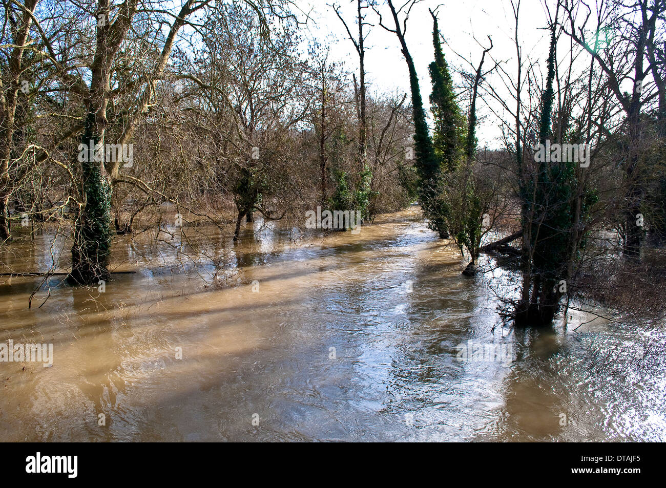 Flooding of the River Mole in Leatherhead, Surrey, England, UK Stock ...