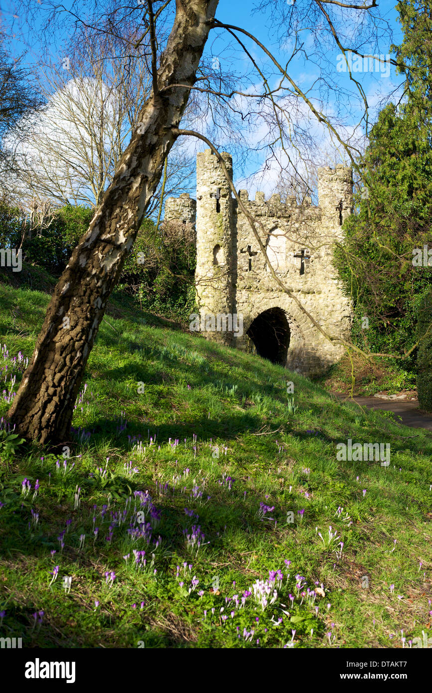 Reigate Castle mock medieval gateway folly and crocuses in the dry moat ...