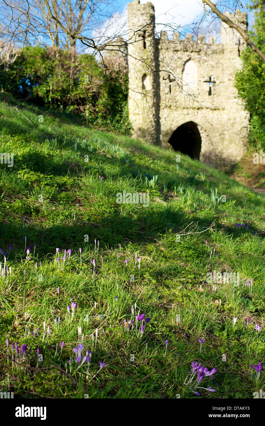 Reigate castle gate hi-res stock photography and images - Alamy