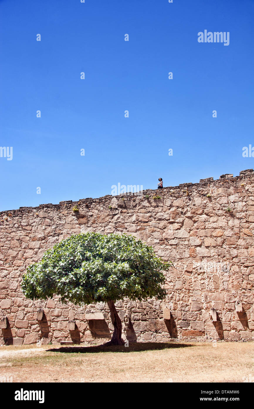 Castle of Trujillo Stock Photo - Alamy