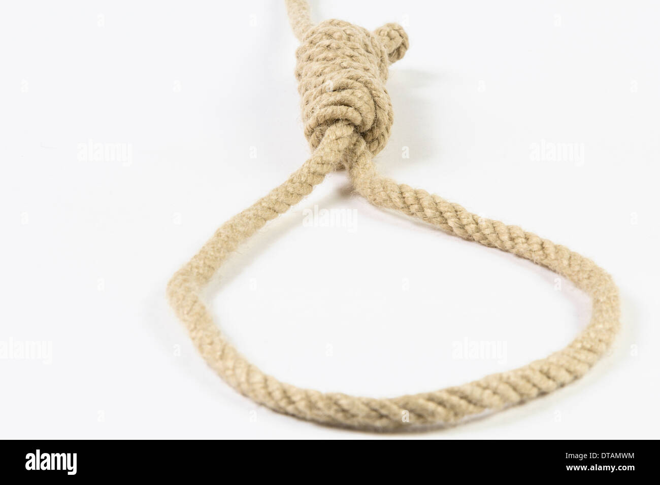 Rope with hangman's noose isolated on white background Stock Photo - Alamy