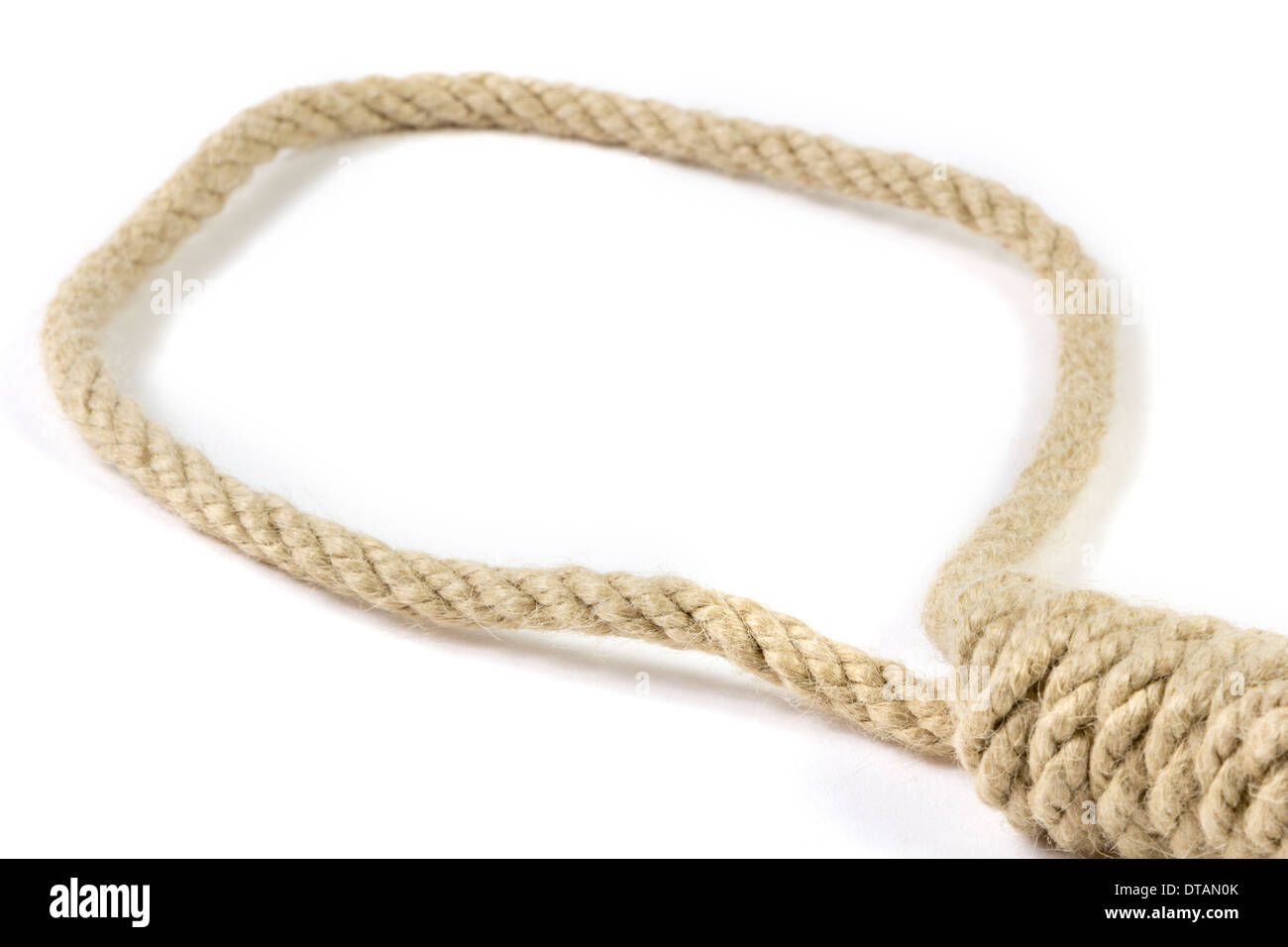 Rope with hangman's noose isolated on white background Stock Photo - Alamy
