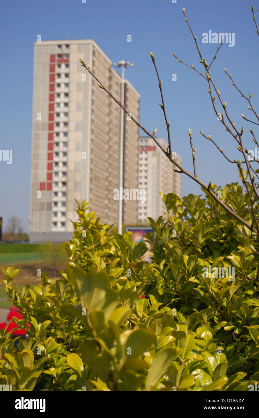 High rise residential buildings at Sighthill in Glasgow, Scotland Stock ...