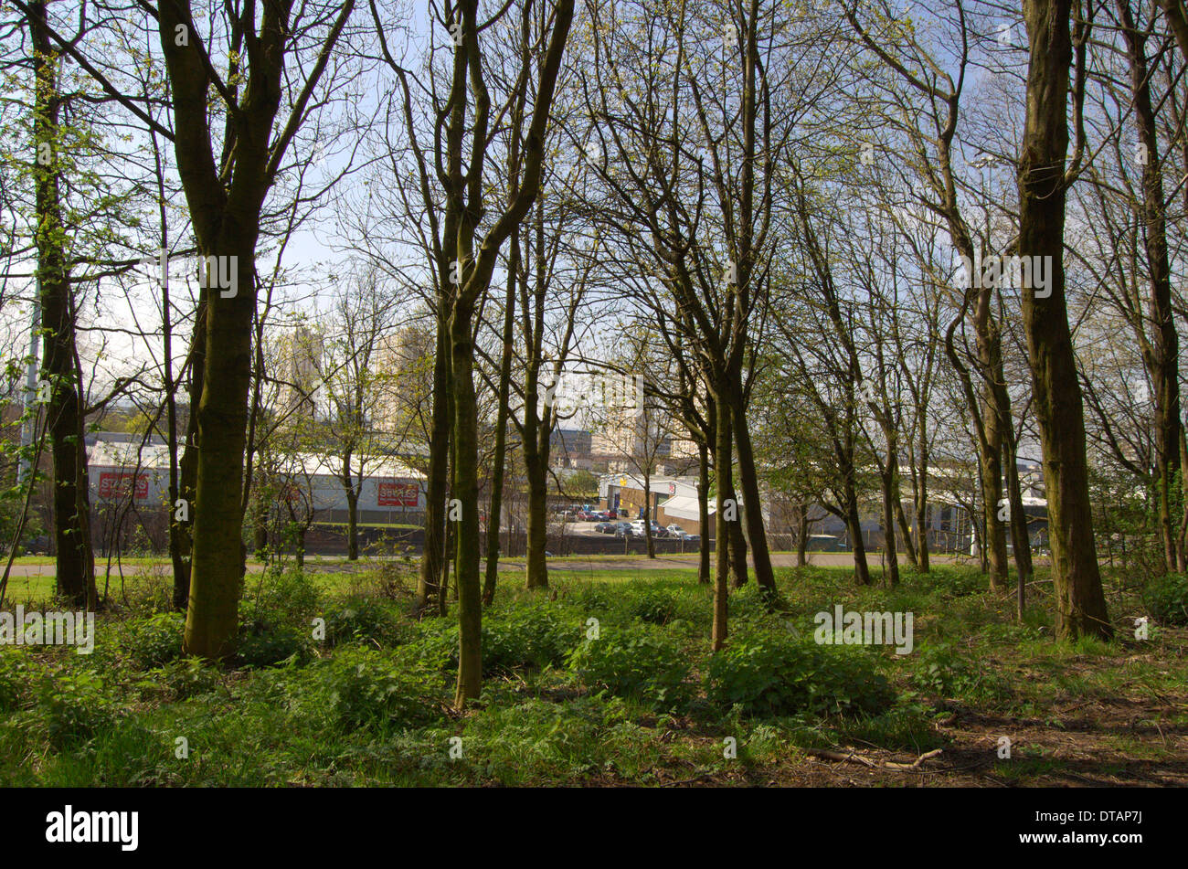 Obscured road view hi-res stock photography and images - Alamy