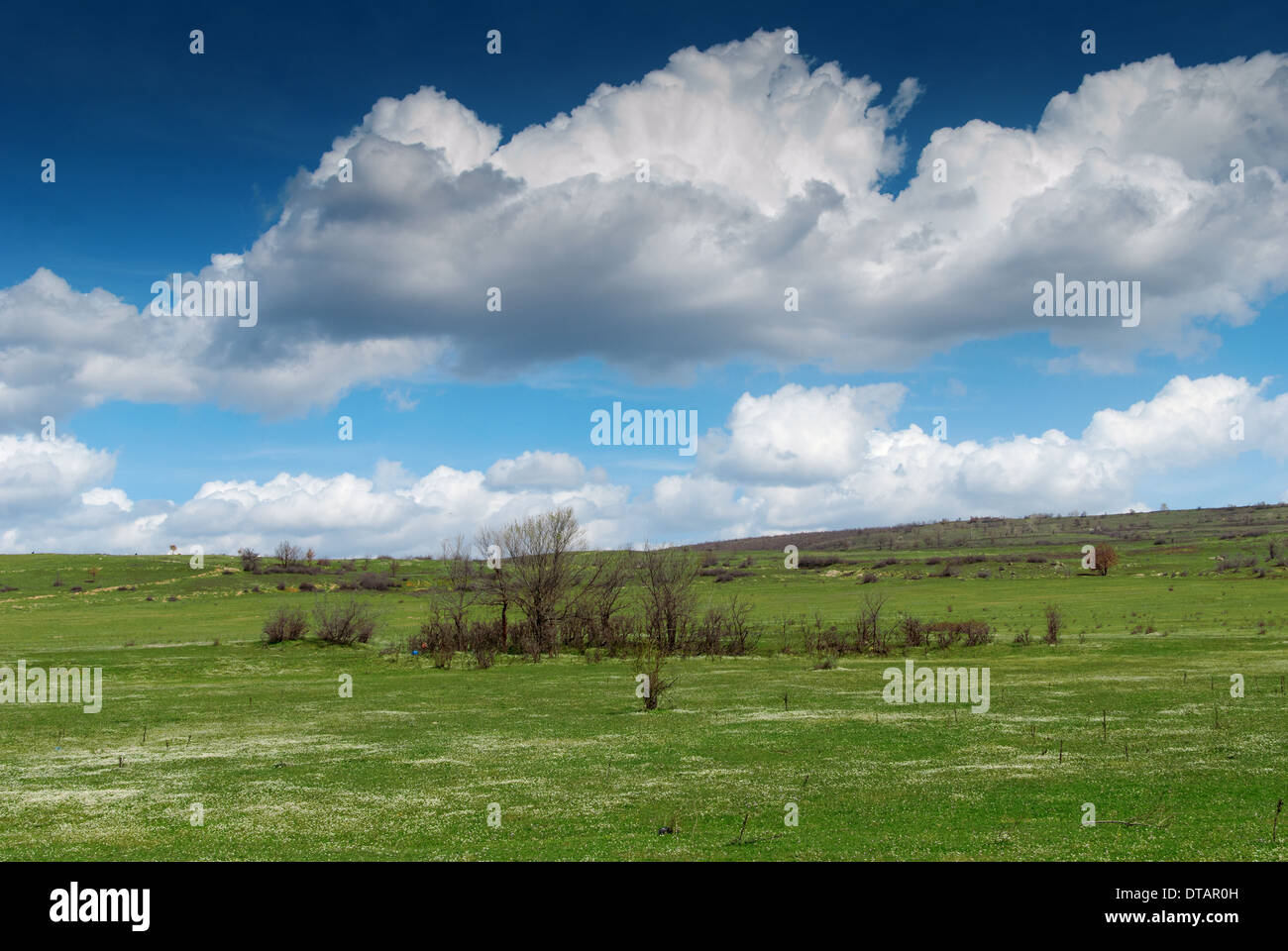 Green Grass Field Landscape Stock Photo - Alamy