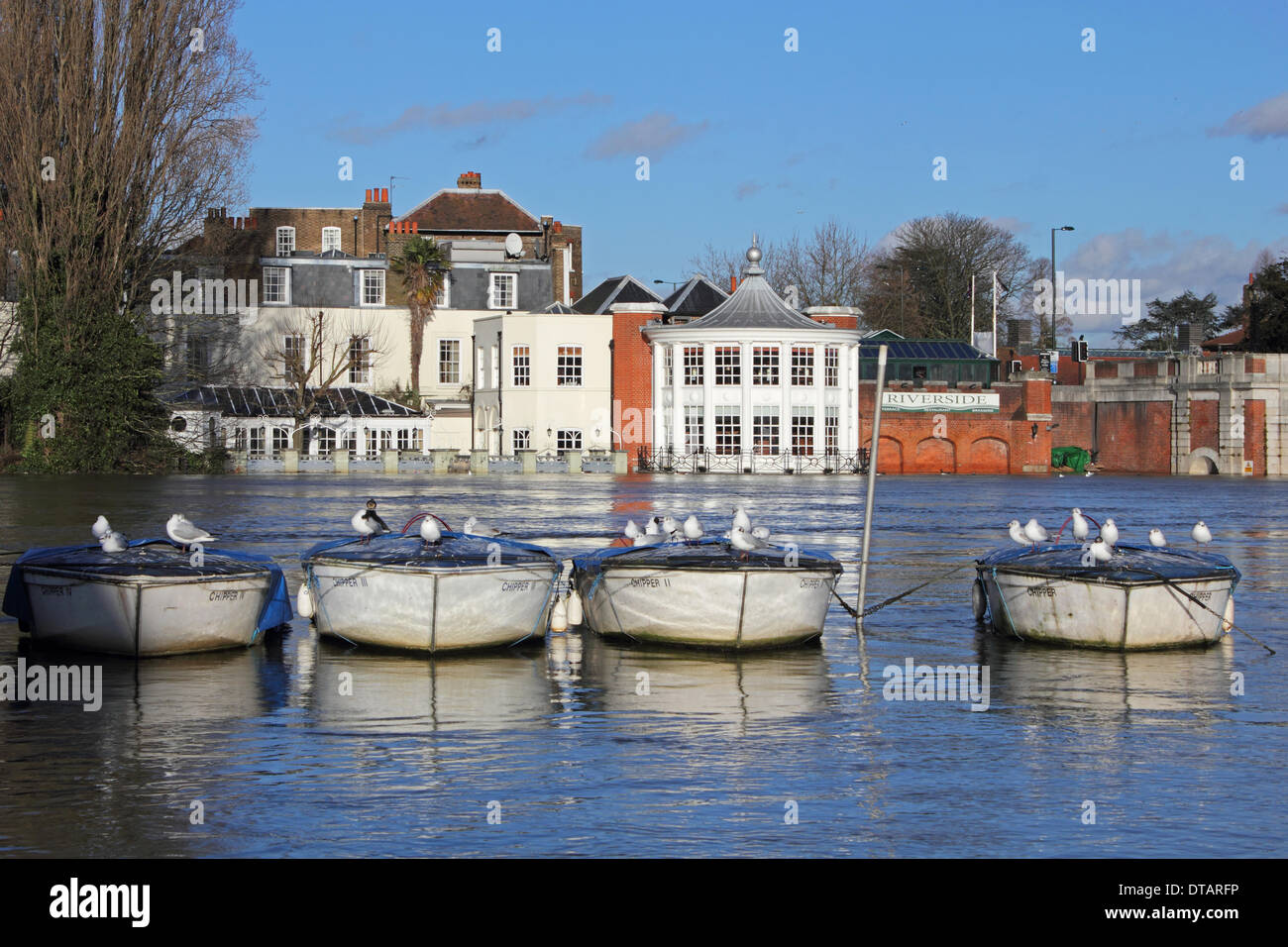 Hampton Court, Greater London, England, UK. 13th February 2014. After ...