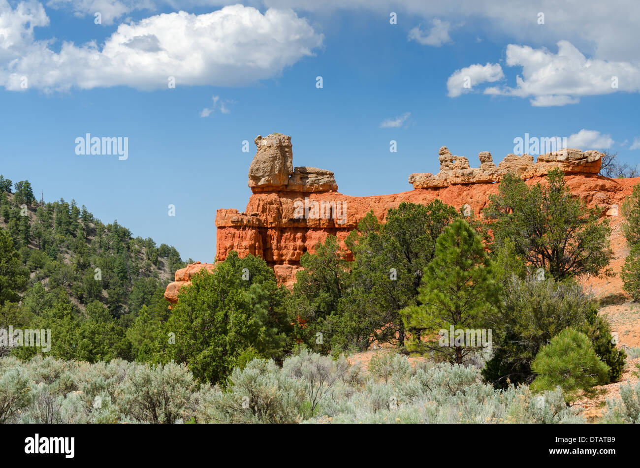 red rocks in Red Canyon National Park in Utah Stock Photo - Alamy