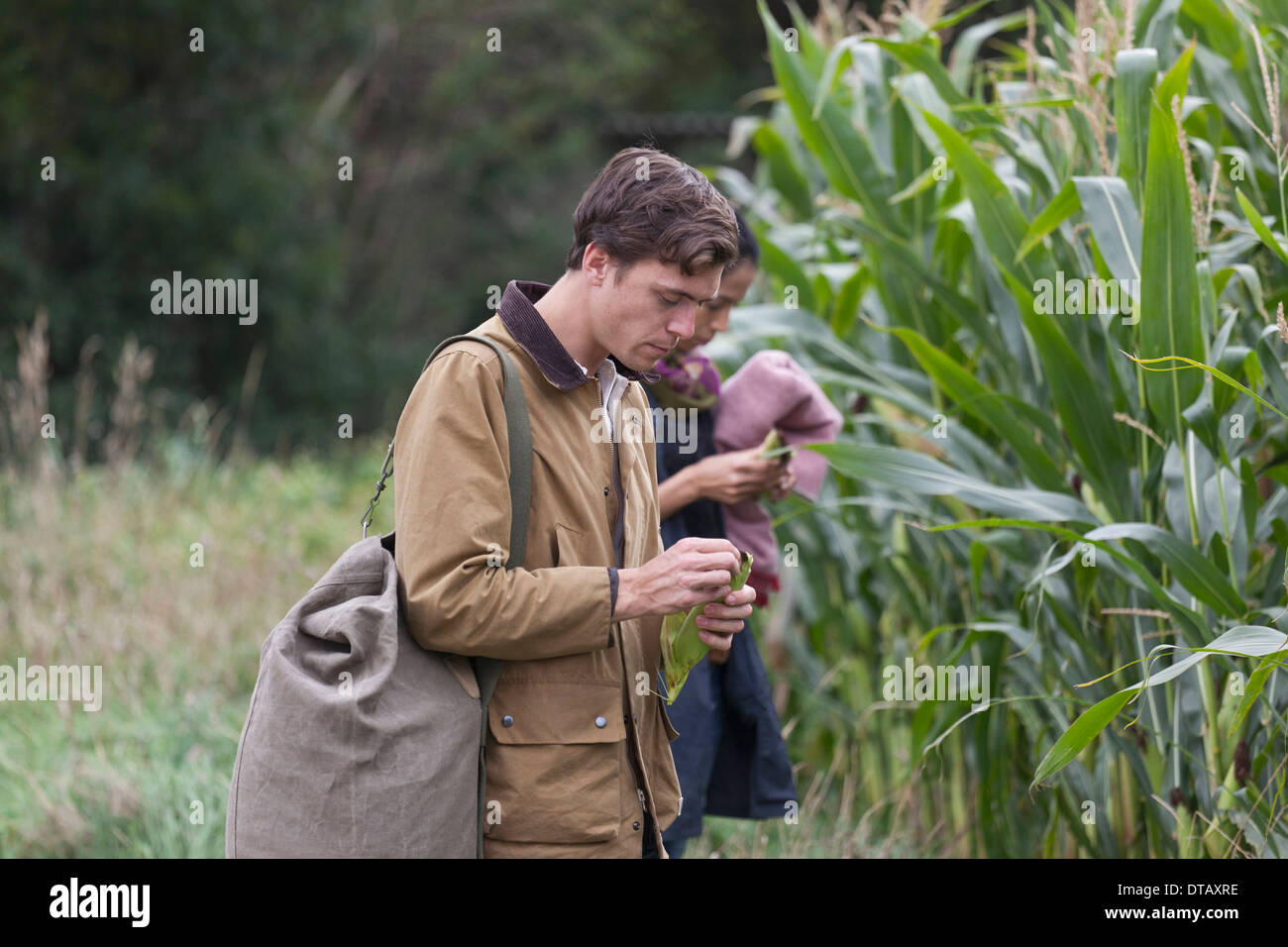 Women in corn field hi-res stock photography and images - Alamy