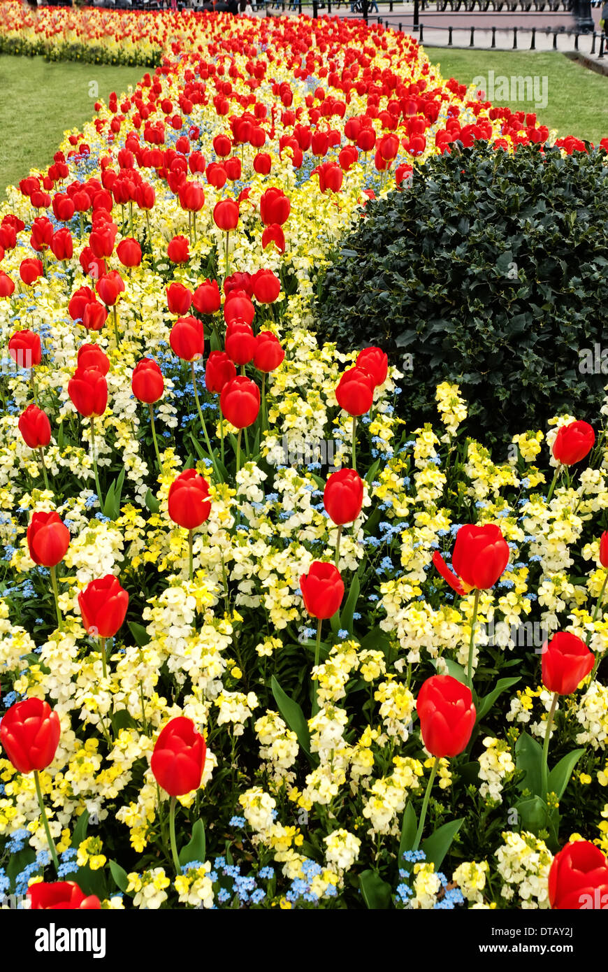 Spring flower alley in the park Stock Photo - Alamy