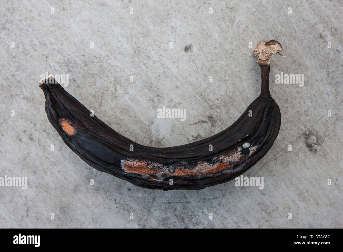 Rotting hi-res stock photography and images - Alamy