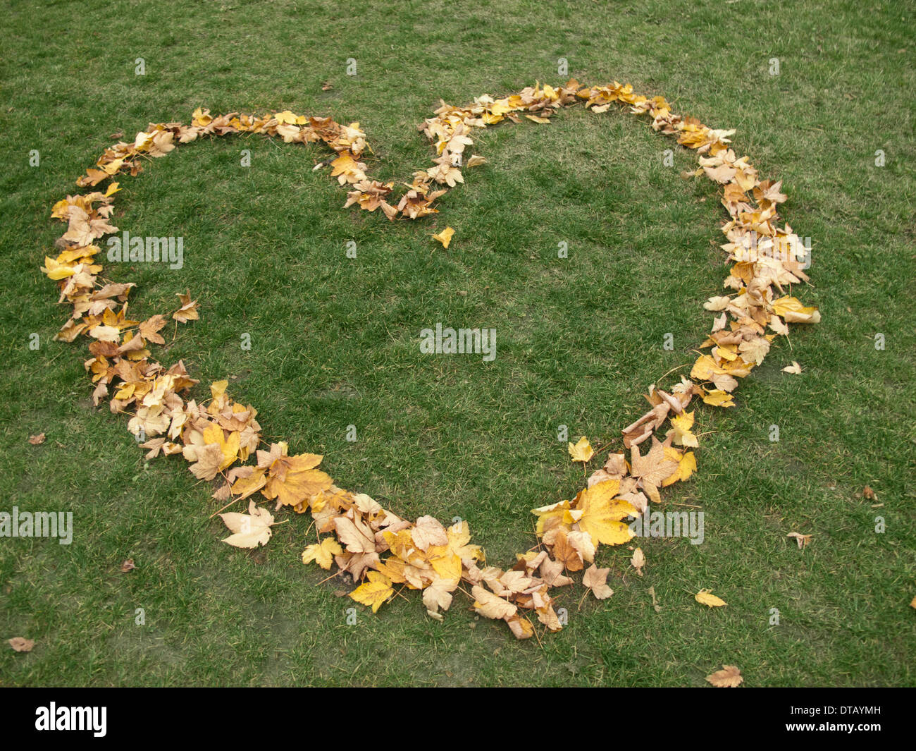 Heart shape leaves hi-res stock photography and images - Alamy