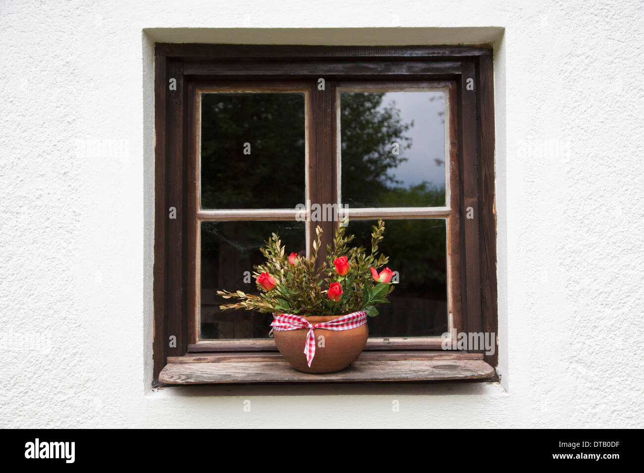 Pot plant on window sill Stock Photo - Alamy