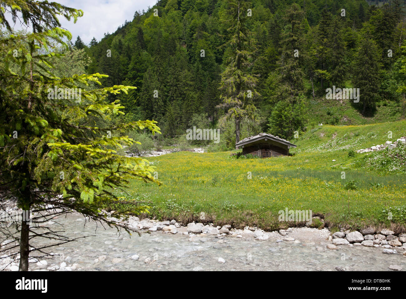 House built in tree hi-res stock photography and images - Alamy