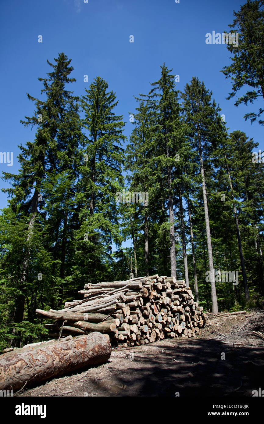 Wood colour hi-res stock photography and images - Alamy