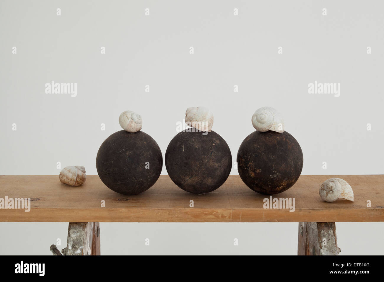 Snail shells hi-res stock photography and images - Alamy