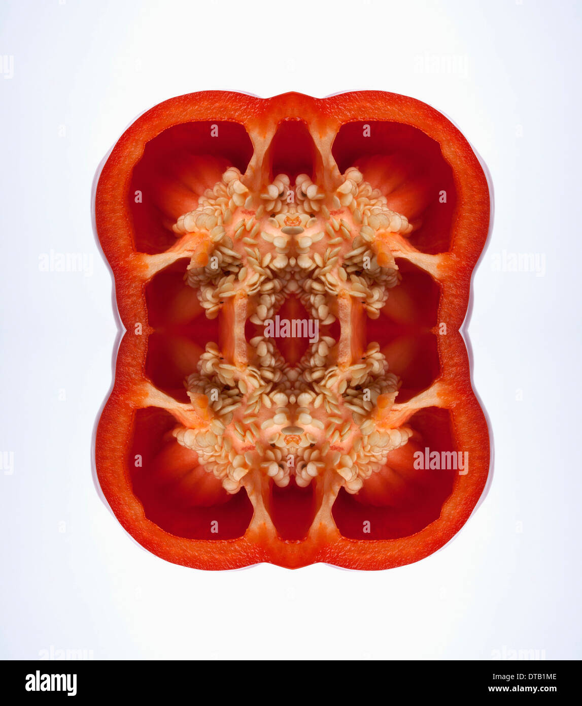 Cross sections hi-res stock photography and images - Alamy
