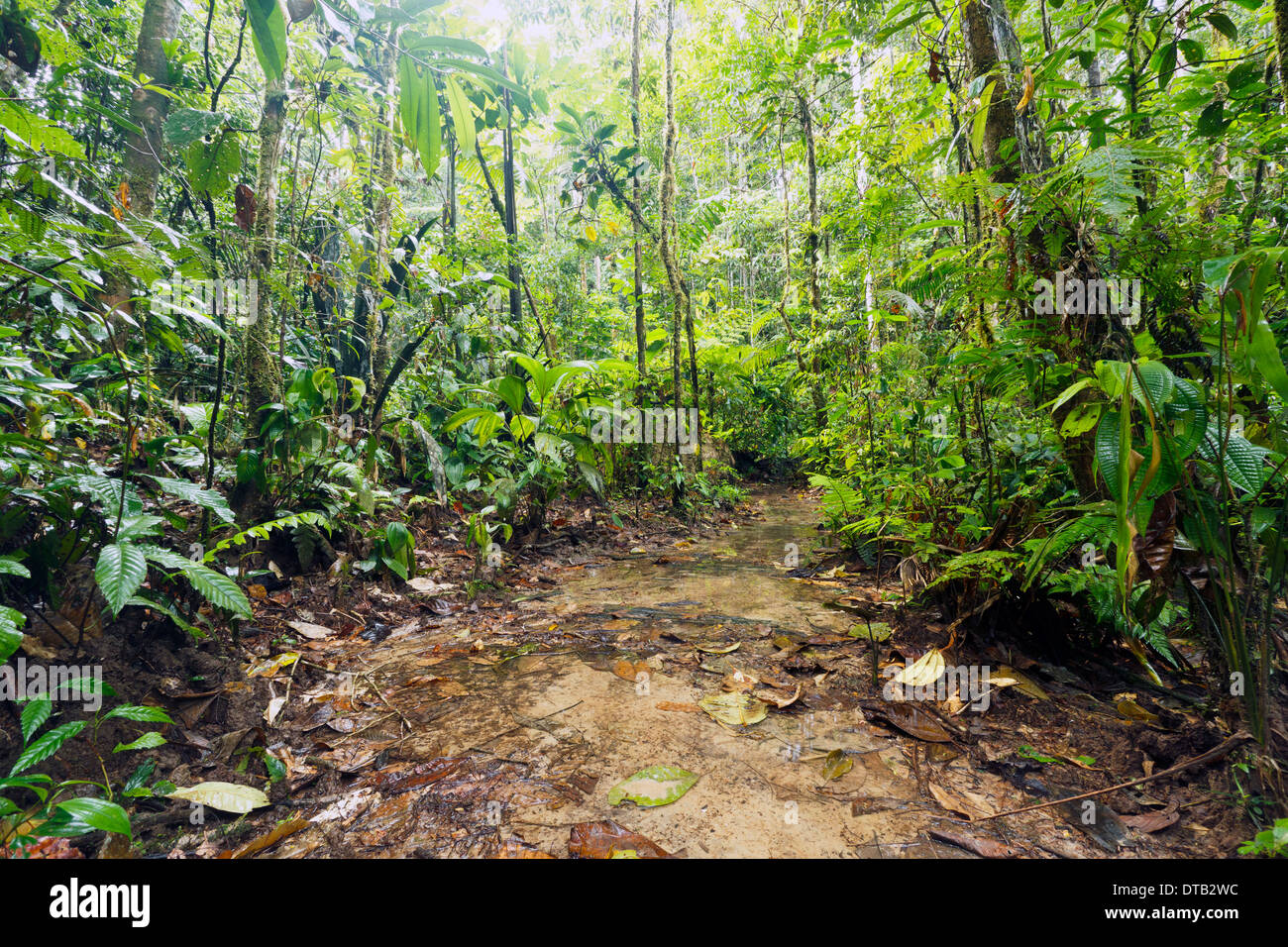 Muddy hi-res stock photography and images - Alamy
