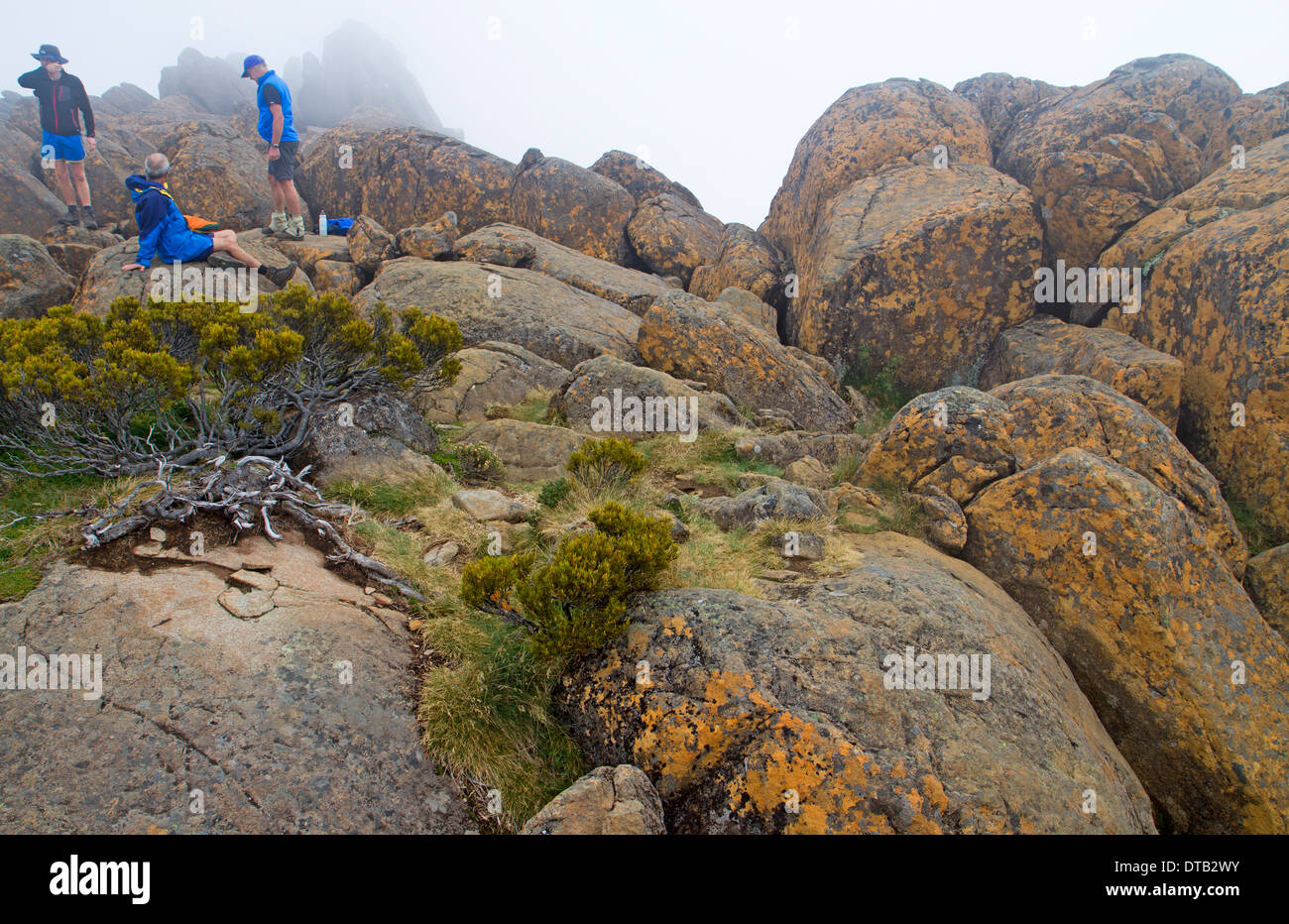 Hikers on the summit of Mt Ossa, Tasmania's highest mountain Stock ...