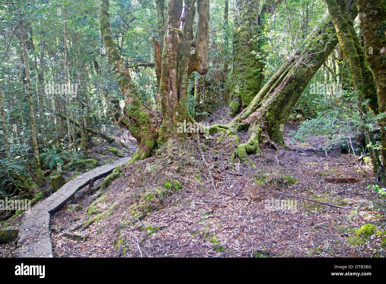 Overland track hut hi-res stock photography and images - Alamy