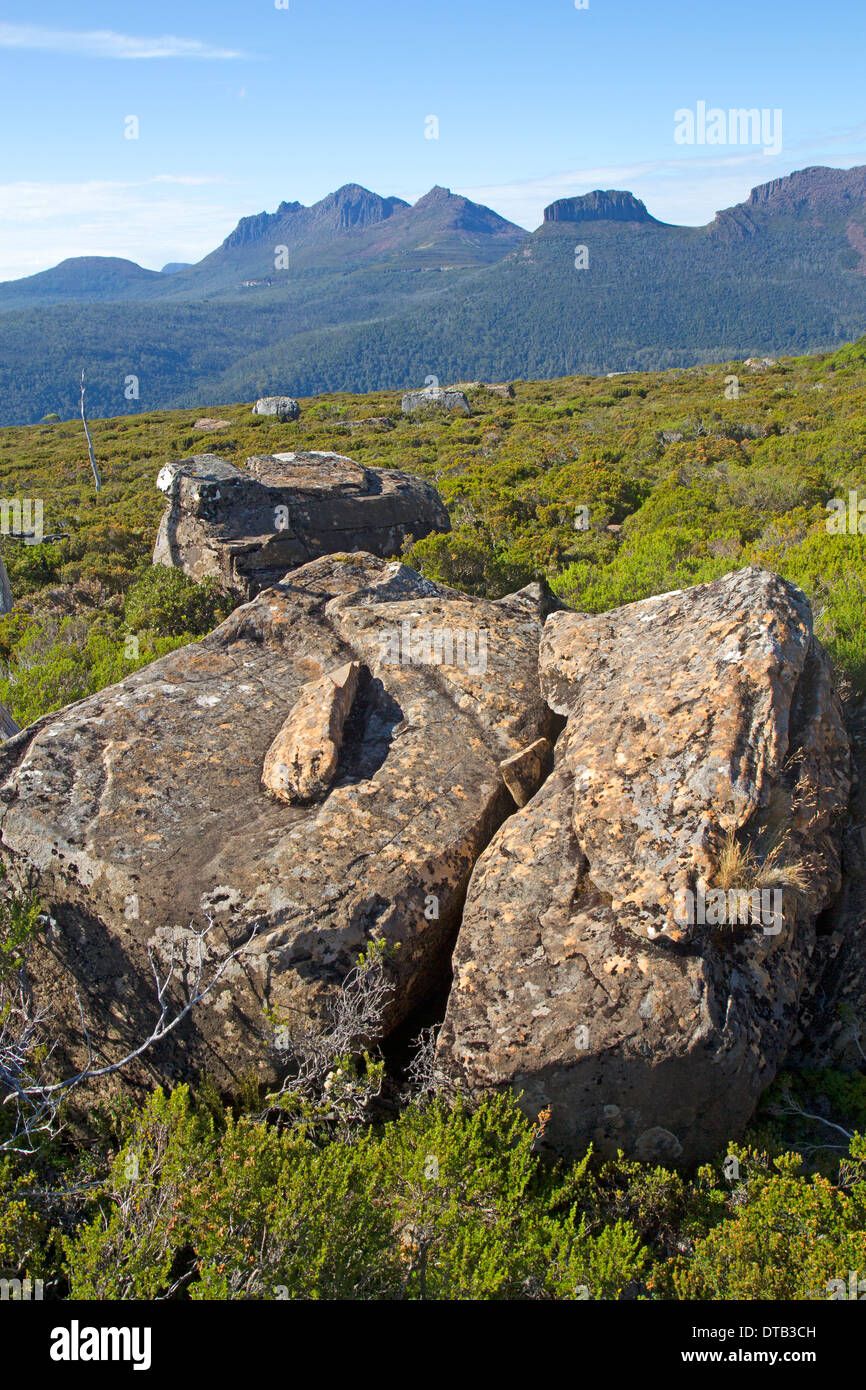 View to Mt Ossa, Tasmania's highest mountain, from the slopes of Mt ...