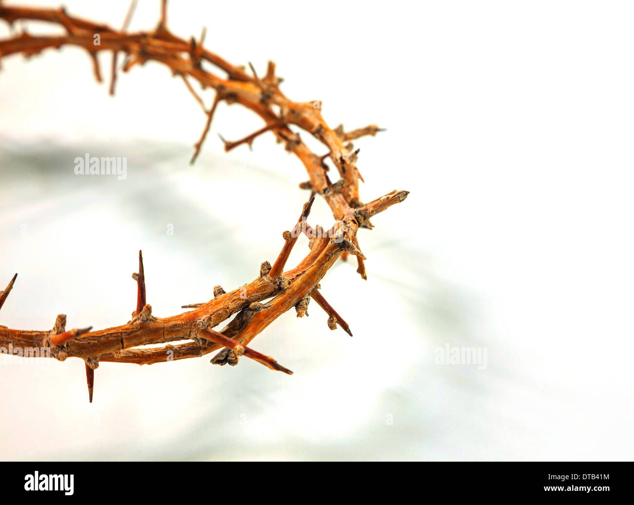 Thorn crown hi-res stock photography and images - Alamy