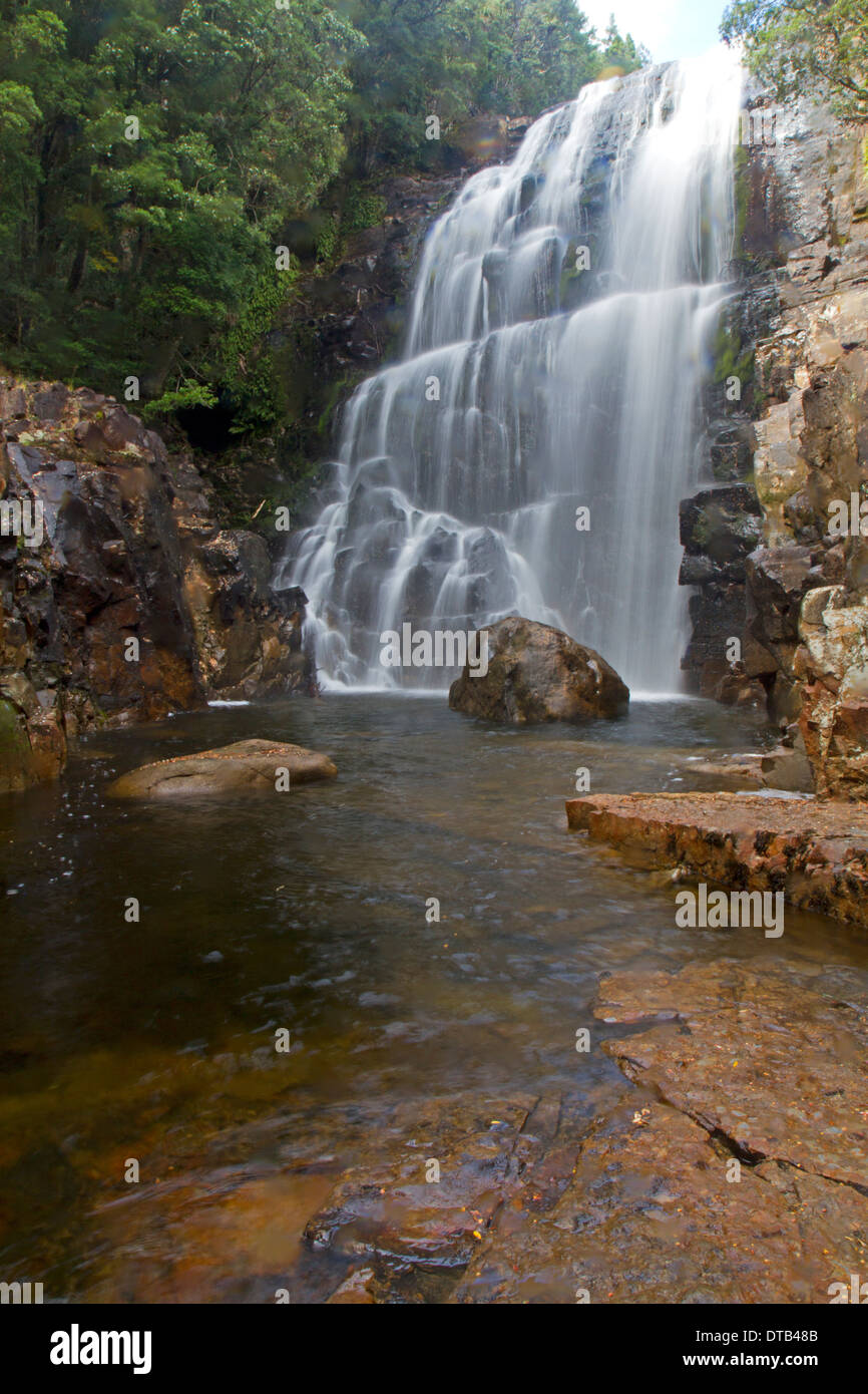 Fergusson Falls, reached on a side trip from the Overland Track Stock ...
