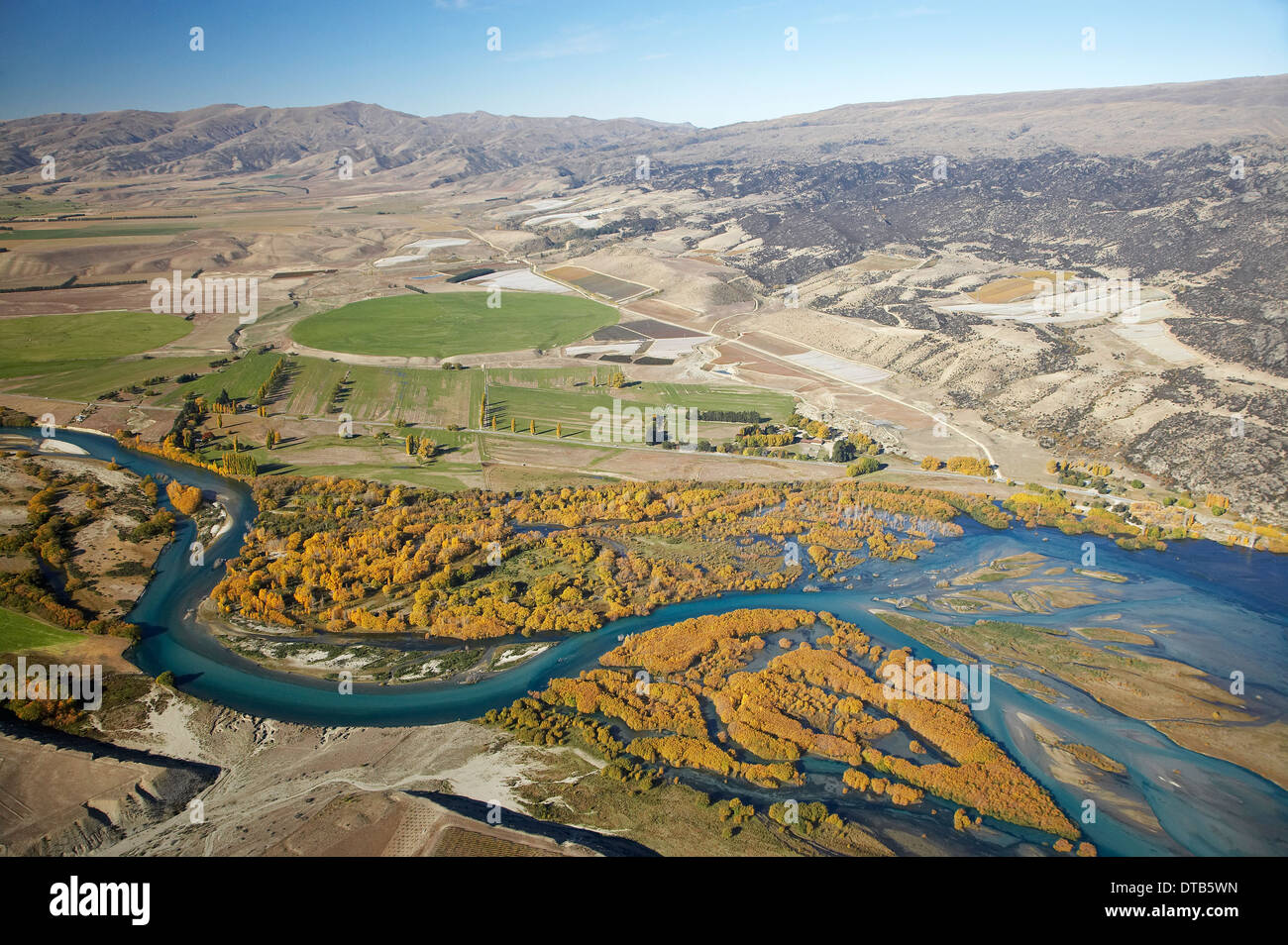 Autumn Willow Trees and Delta where Clutha River enters Lake Dunstan ...