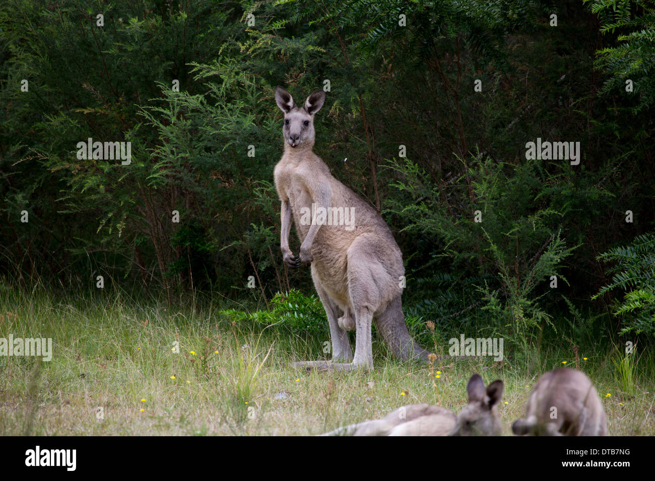 Best places to visit in australia hi-res stock photography and images - Alamy
