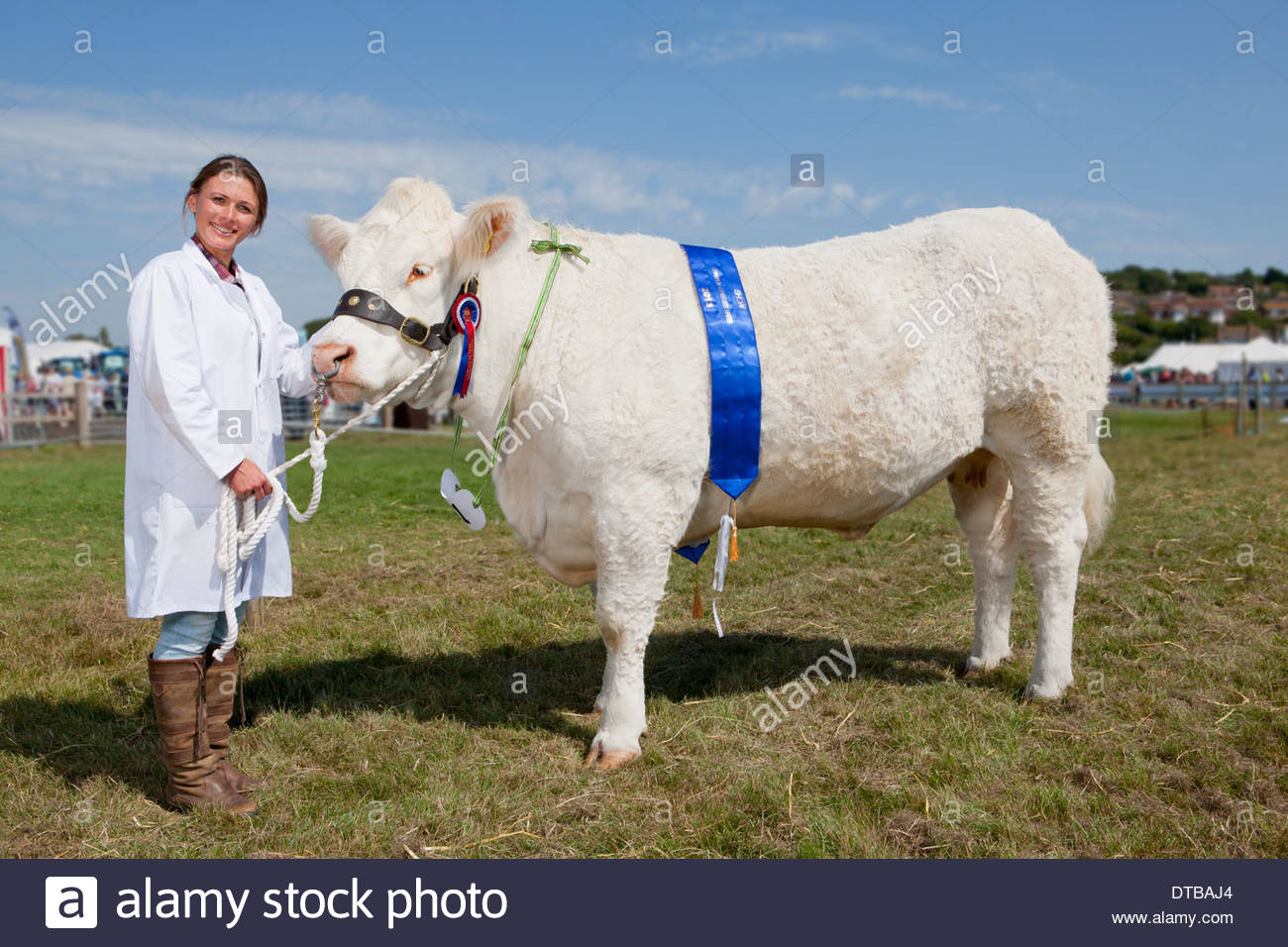 Prize Cow Stock Photos & Prize Cow Stock Images - Alamy