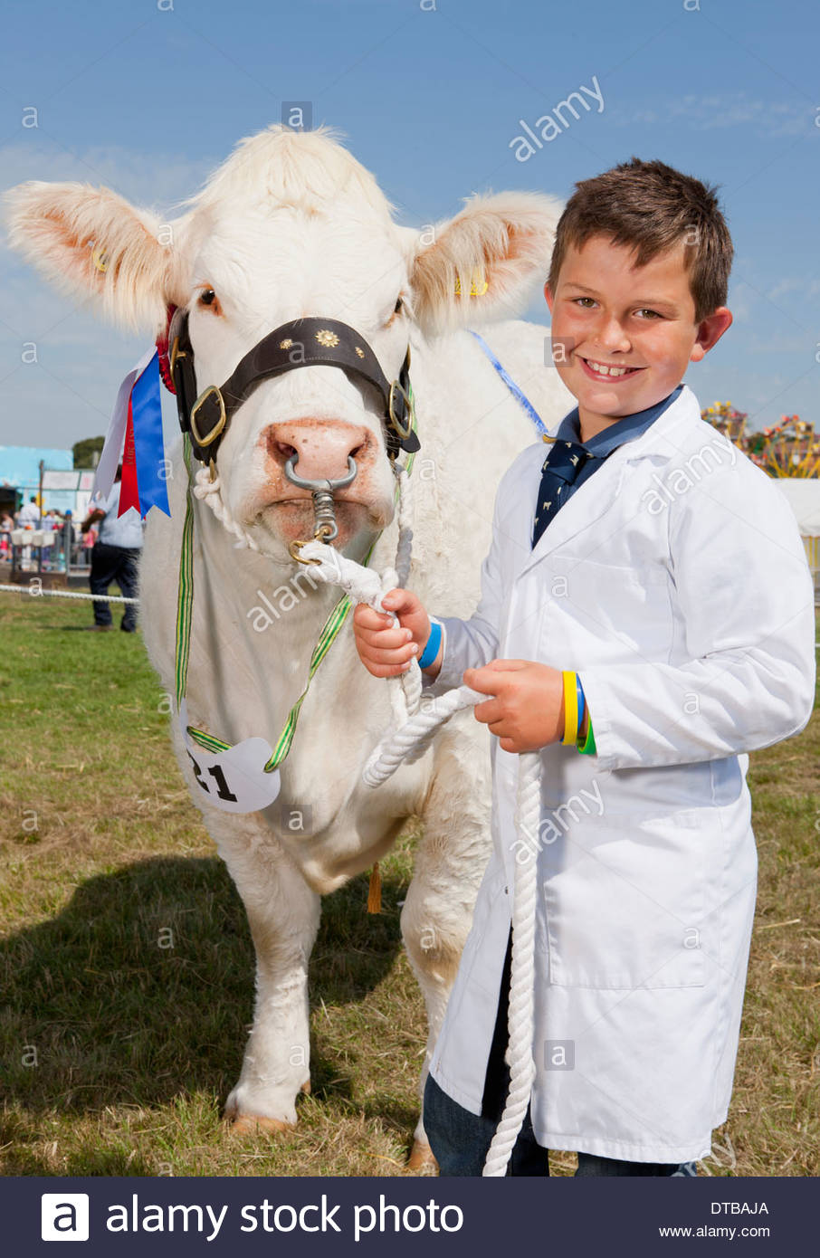 Prize Cow Stock Photos & Prize Cow Stock Images - Alamy