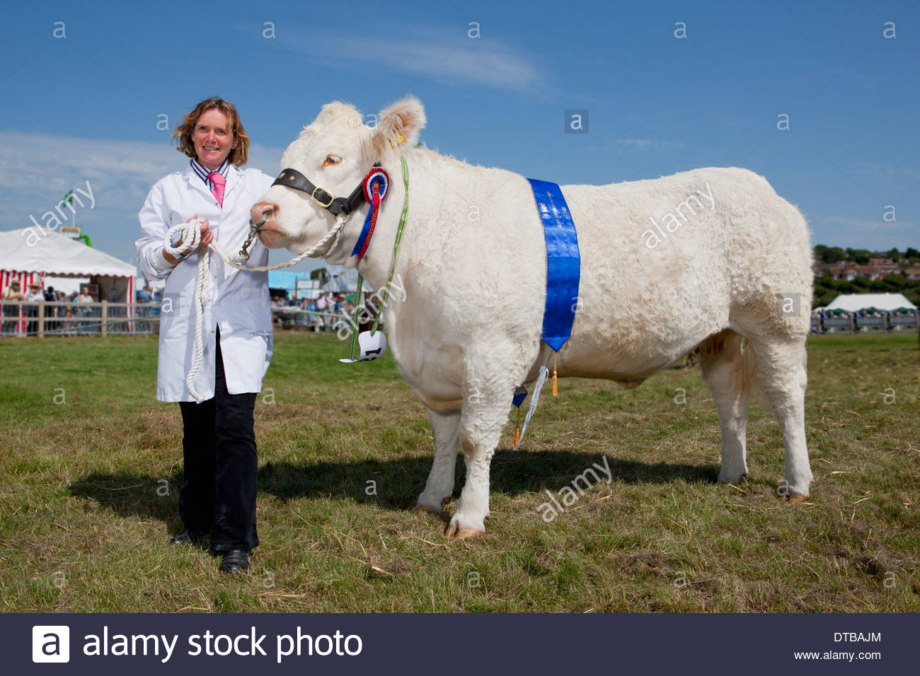 Prize Cow Stock Photos & Prize Cow Stock Images - Alamy